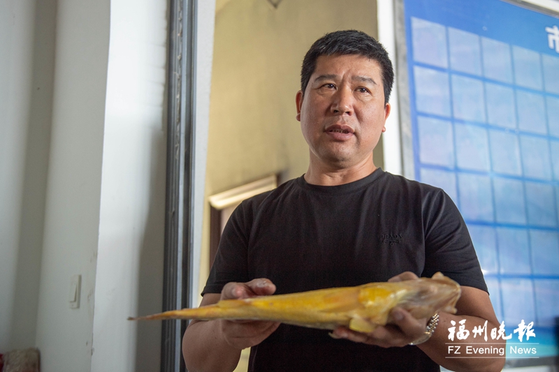 “高富帅”大黄鱼在福州培育成功