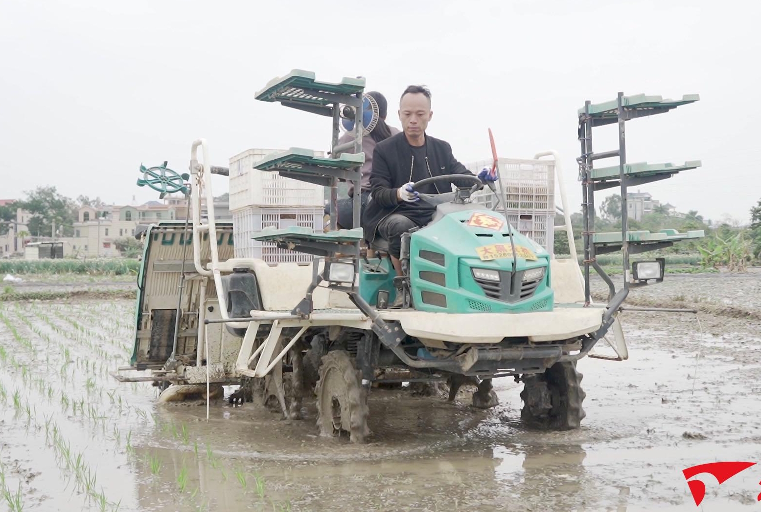 新农人谢特明：蹚出乡村振兴新“稻”路