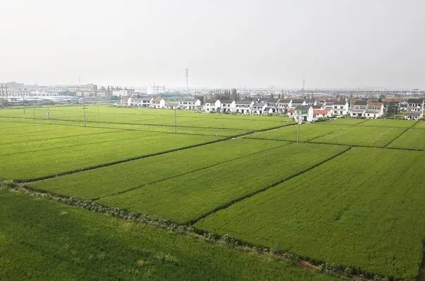 助力经济持续稳定向好 支农支小再贷款再贴现额度增加2000亿元