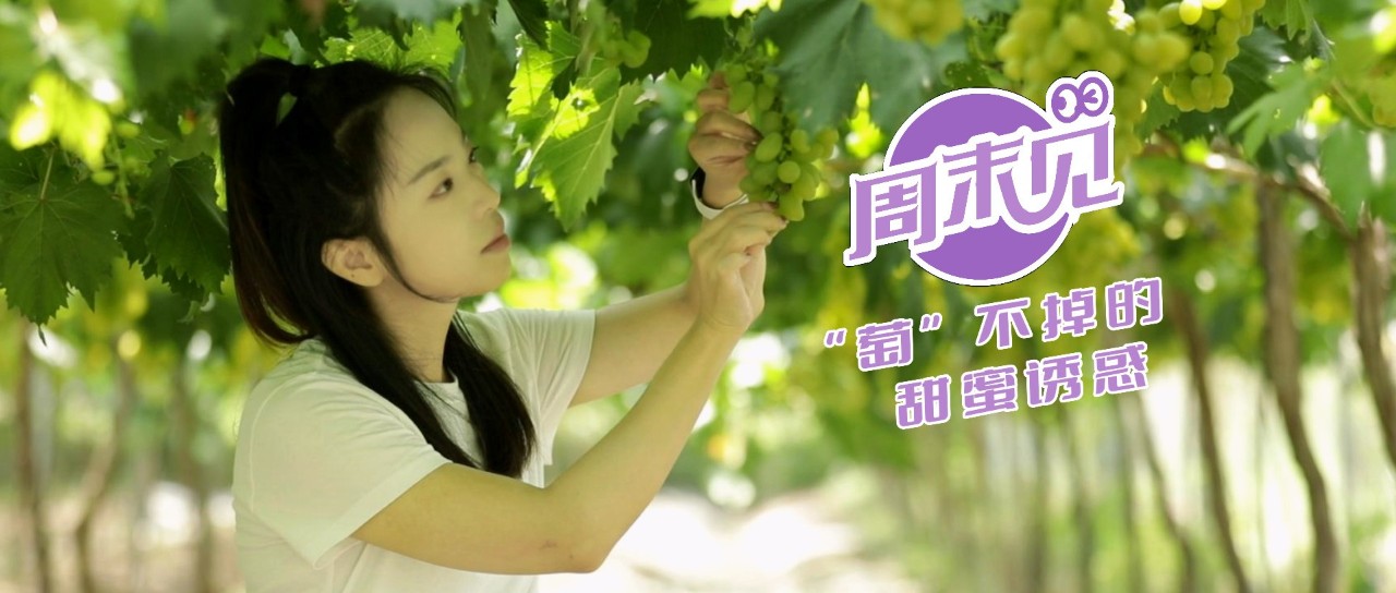 “萄”不掉的甜蜜诱惑｜周末见VOL.74